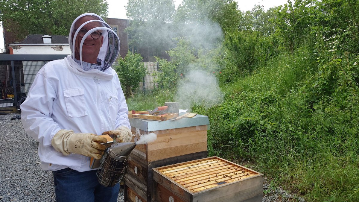 News from the HA bee garden News